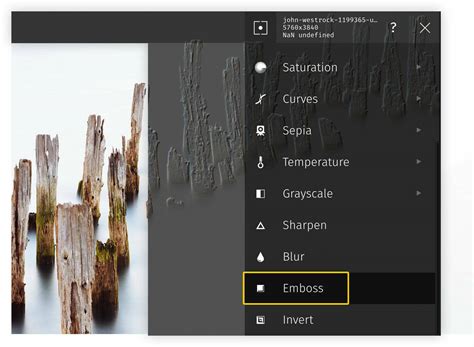 Emboss Image In Seconds For Free With Raw Pics Io Emboss Effect Online