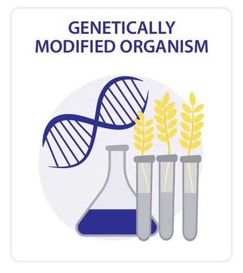 The Learning Lab Blog Dynamic Earth Lesson Plans Artofit