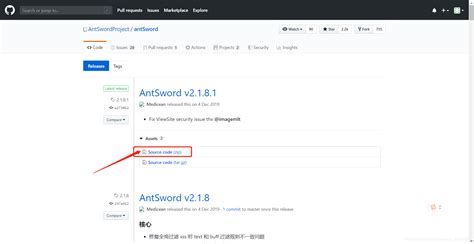 windows 安装中国蚁剑 antsword antsword loader v4 0 3 win32 x64 csdn博客