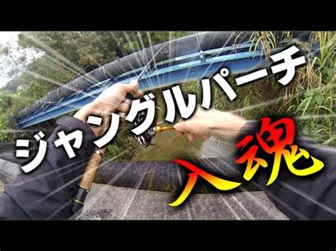 釣り動画アブラゼミスペシャルでミキユーを狙え YouTube