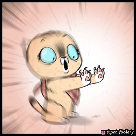 Pixie And Brutus 14 Claws 09062020 Rpikabu