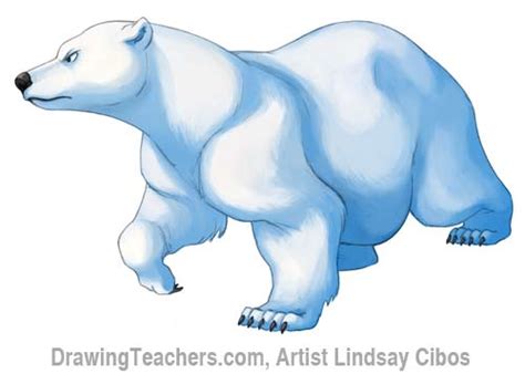 Cartoon Polar Bear Drawing At Getdrawings Free Download
