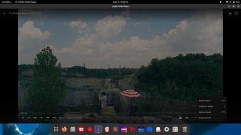 Issue Playback Issues And Missing Transcode Option Intel Linux