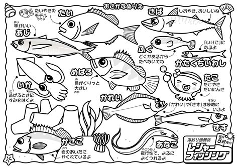 さかなのぬりえ 魚図鑑 さかなのぬりえ魚の塗り絵