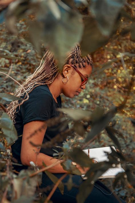 Creative Writing In The Forest Forest Pictures Forest Photographer