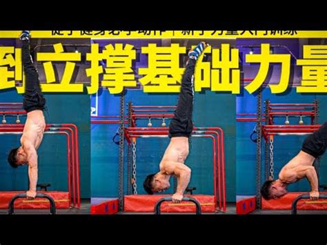 倒立撑基础训练新手力量进阶必学 超详细徒手健身教学 YouTube