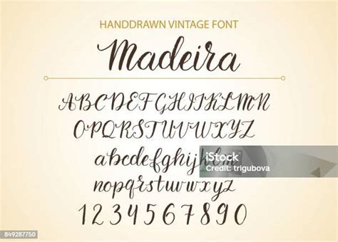 Handdrawn 벡터 스크립트 폰트입니다 브러시 질감 스타일 붓글씨 필기체 Typefac 개체 그룹에 대한 스톡 벡터 아트 및