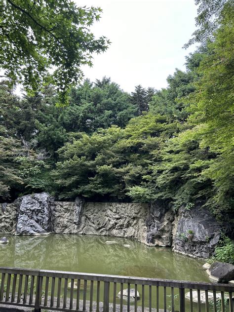 李田田老师 On Twitter 我家附近的公园绿树成荫，花卉繁多，各种庭院，时常能碰见悠闲散步的白鹭和乌鸦。这里让我想起日本三大美学意识
