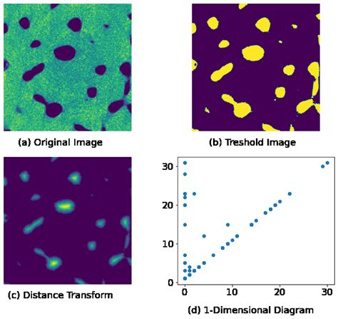 the workflow for extracting a distance transform persistence diagram