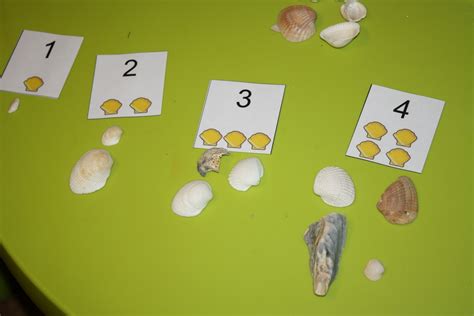 I Put Out Some Shell Themed Number Cards And Asked Kenna To Do Some