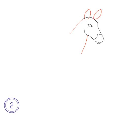 How To Draw A Zebra A Step By Step How To Mimi Panda