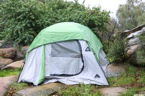 Backseat Boobs Porn Pic