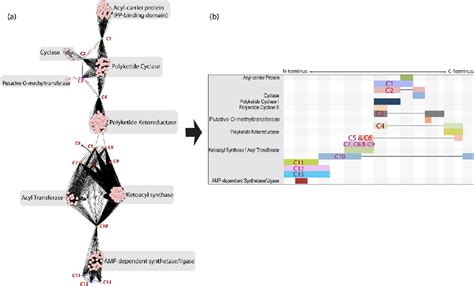 A Giant Connected Component Gcc Uniting 423 Proteins Composite Download Scientific