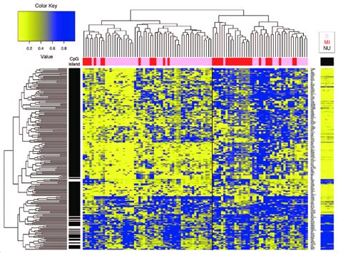 Unsupervised Two Dimensional Hierarchical Clustering Analysis Of The