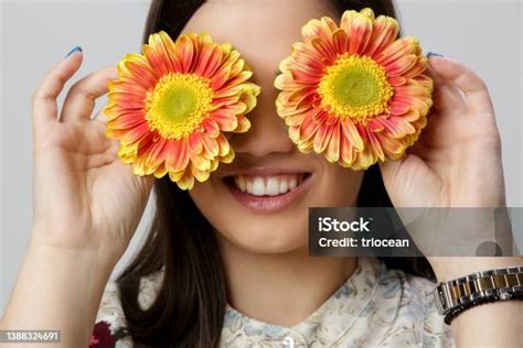 스르발 데이지 꽃으로 눈을 가리는 아름다운 젊은 여성의 스튜디오 샷 가리기에 대한 스톡 사진 및 기타 이미지 가리기 갈색 머리 개화기 Istock