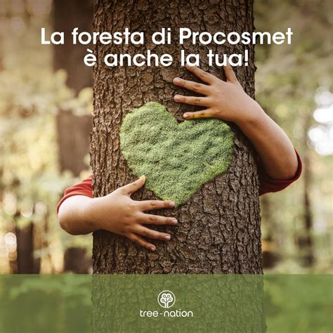 Per Saperne Di Piu A Cosa Servono Gli Alberi A Cosa Servono Gli Alberi
