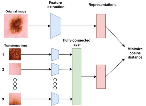 jigsaw pretext task scheme download scientific diagram