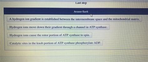 Arrange The Steps Of Atp Generation By Atp Synthase