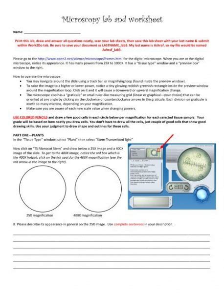 Tissue Worksheet Samples