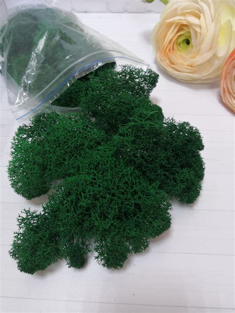 ЯГЕЛЬ мох стабилизированный зелёный