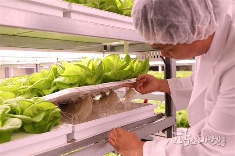 이천시 박노영 대표 스마트팜 식물공장