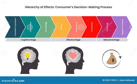 Hierarchy Of Effects Theory Or Model Consumer Decision Making Stock Illustration