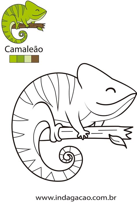 Camaleão Para Colorir Bom Dia Todas As Cores Retoedu