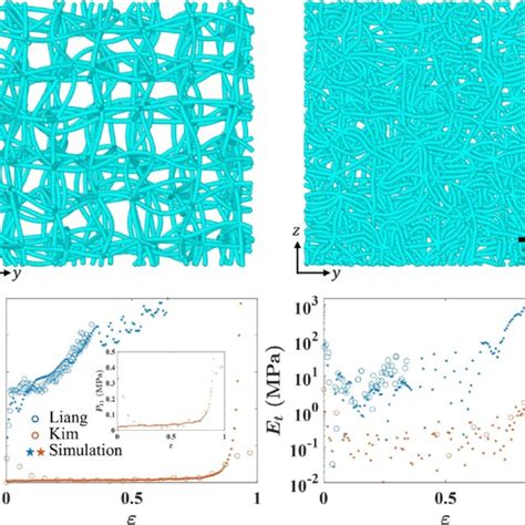 Simulation Results For The Behavior Of Fibrin Network Models Under Download Scientific Diagram