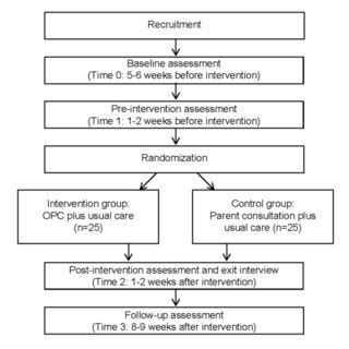 Flowchart Of Data Collection OPC Occupational Performance Coaching Download Scientific