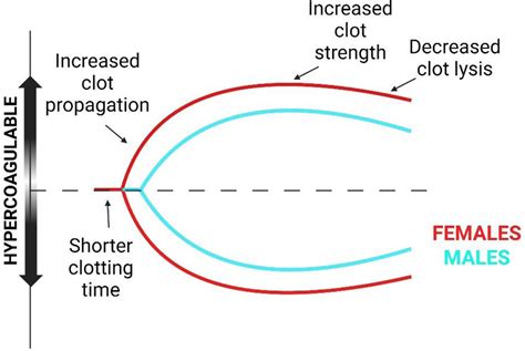 Sex Dimorphisms In Coagulation Implications In Trauma Induced