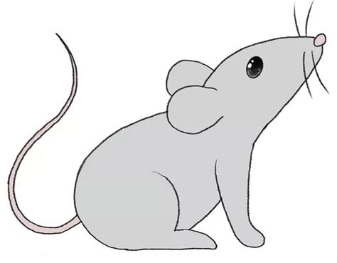 آموزش ساده نقاشی کودکانه موش