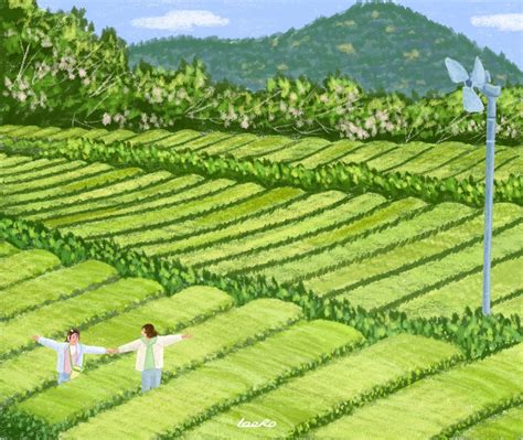 녹차밭 일러스트