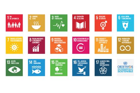 ¿cómo Se Crearon Los Objetivos De Desarrollo Sostenible Ods