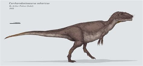 Best Carcharodontosaurus Images On Pholder Dinosaurs Jurassicworldevo And Naturewasmetal