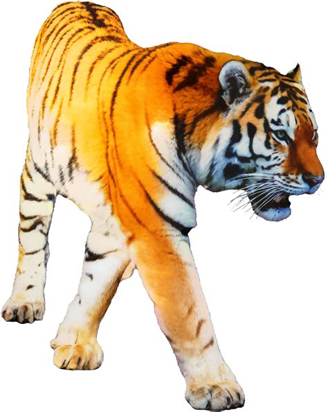 Tiger Portable Network Graphics Transparency Clip Art Desktop Wallpaper