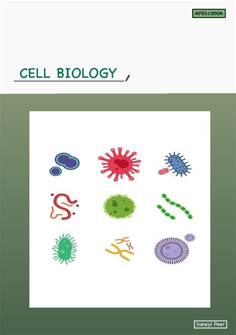 CELL Biology CELL BIOLOGY Suhayl Peer APES1000A APES1000A Lecture 1 22 02 Classification In