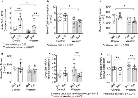 Exercise During Pregnancy Altered Mrna Expression Of One‐carbon