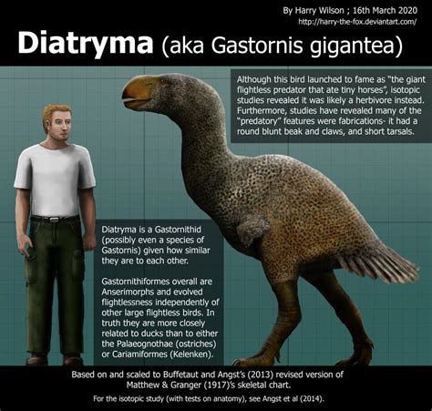 Diatryma Aka Gastornis Size By Harry The Fox On Deviantart