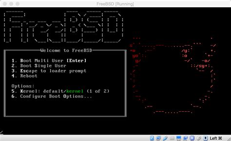 Installing FreeBSD With VirtualBox FreeBSD Foundation