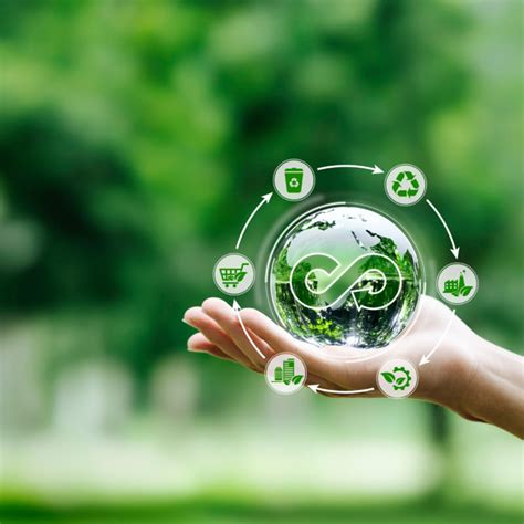 Cowichan Businesses Are Adopting Circular Economy Principles Through