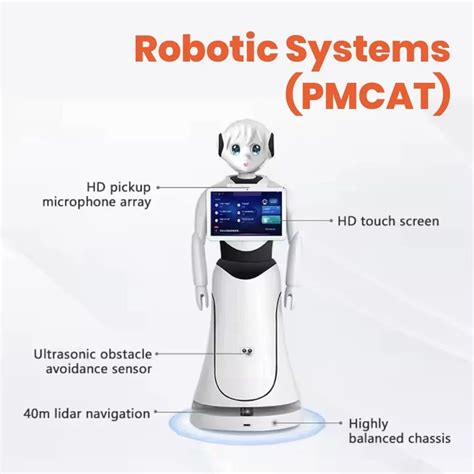 Automation System Humanoid Robot For Pick At ₹ 600000 In Jaipur Id 2856769453191