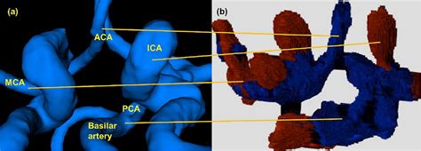 Unveiling The Power Of 3d 4d Image Reconstruction In Medical Imaging By Manju Dabass Medium