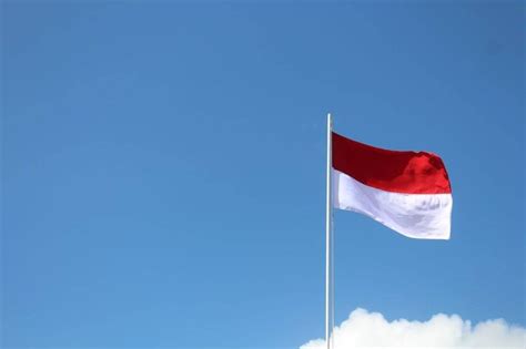 Sejarah Kelahiran Jong Java Sebagai Organisasi Pemuda Indonesia Sejarah Kelahiran Jong Java Sebagai Organisasi Pemuda Indonesia