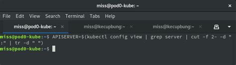 Kubernetes Lab Kubernetes Part VI APIs Without Proxy Jurnal Misskecupbung