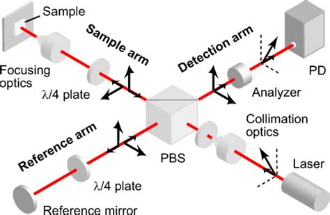 Phase Sensitive Absolute Amplitude Detection Of Surface Vibrations Using Homodyne Interferometry
