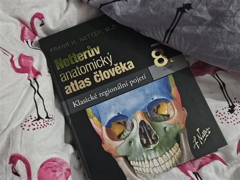 Netterův Anatomický Atlas člověka Kritiky Cz