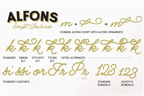 Alfons Font Youworkforthem Alfons Font Youworkforthem