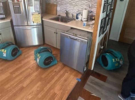 Help My Dishwasher Is Leaking From The Bottom What Do I Do