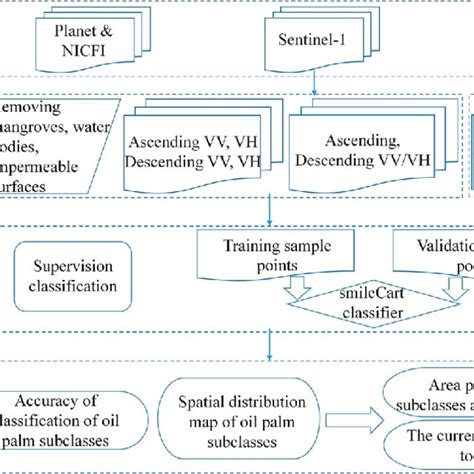 Workflow Diagram Of The Global Oil Palm Subclass Classification
