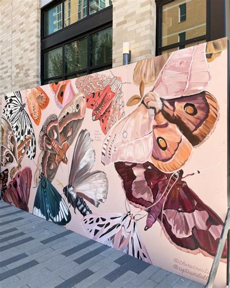 Daily Inspiration Meet Chera Creative Voyage Dallas Magazine Dallas City Guide